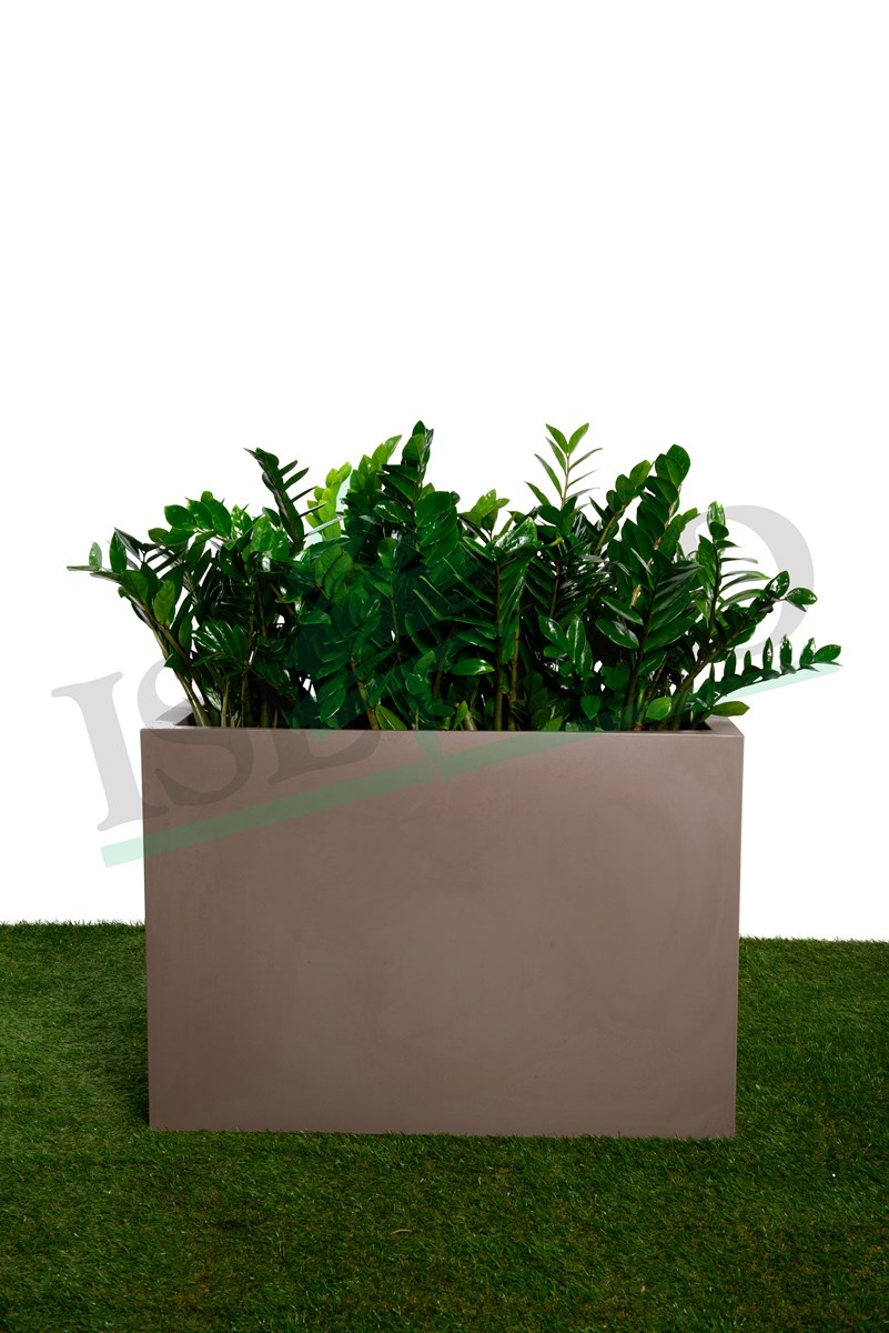 KUBE HIGH PLANT BOX 100CM TAUPE C/W ZAMIOCULCAS ZAMIIOFOLIA
