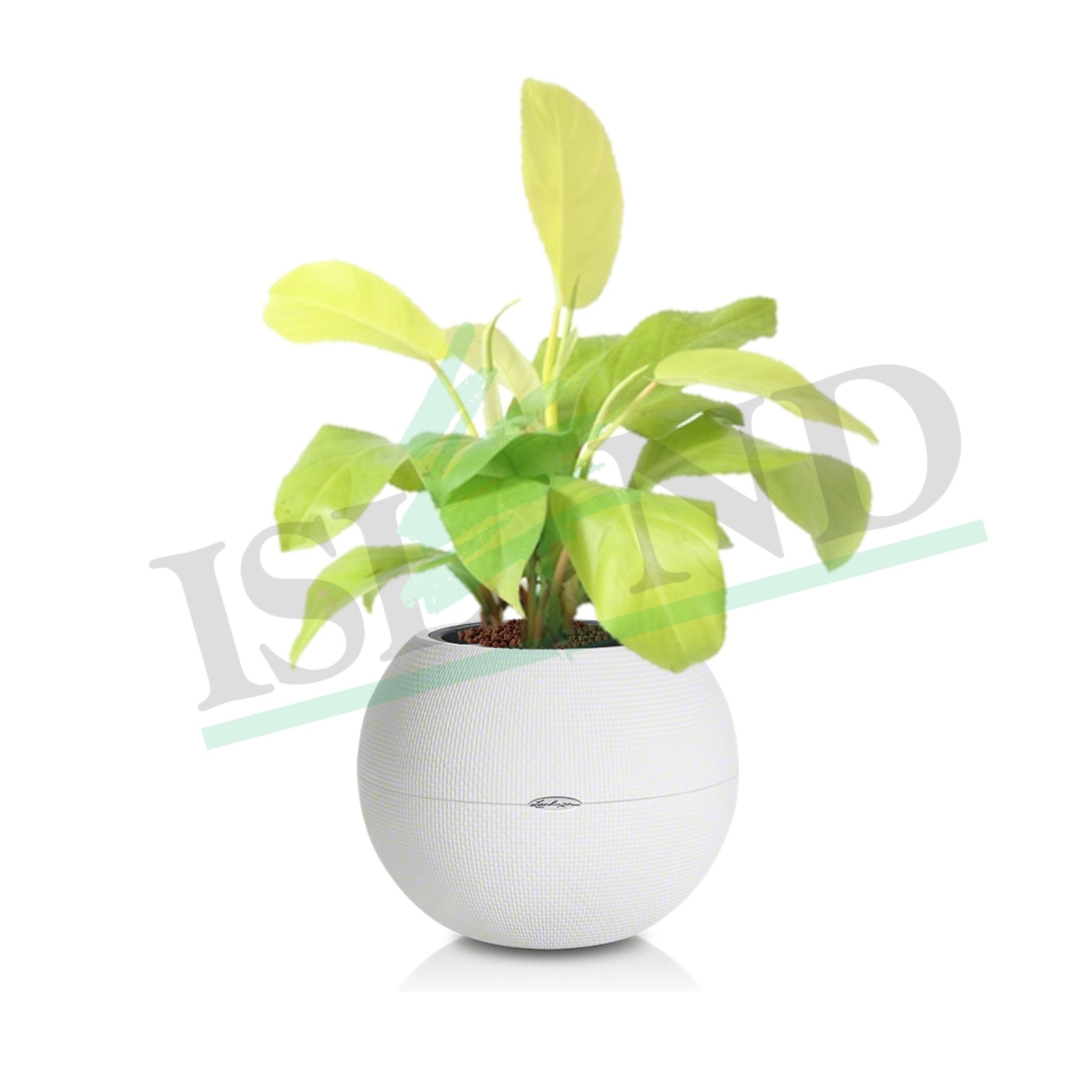 PURO POT 20 WHITE WITH PHILO GOLD 0.4M