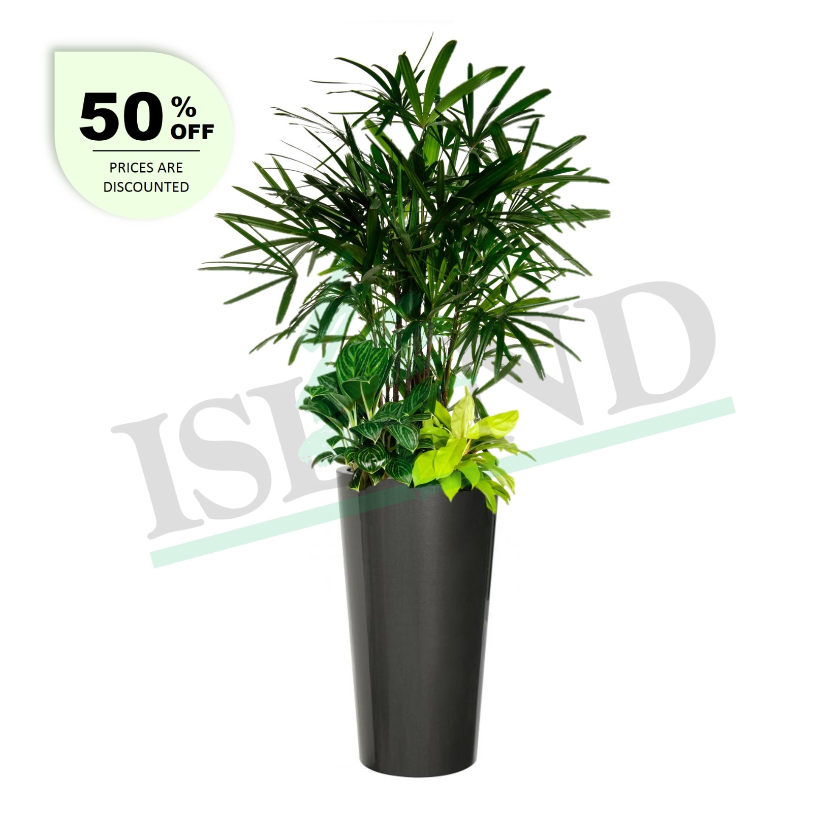 TUIT POT 40CM GREY C/W RHAPIS EXCELSA MIX 1.7M
